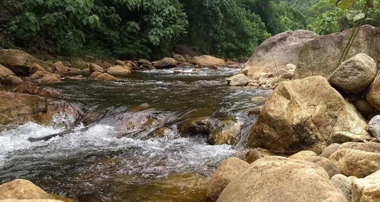 Kalikesam Waterfall Kanyakumari (Timings, Entry Fee, Images, Best time ...