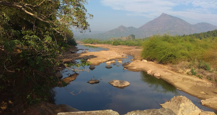 Kalikesam Waterfall Kanyakumari (Timings, Entry Fee, Images, Best time ...