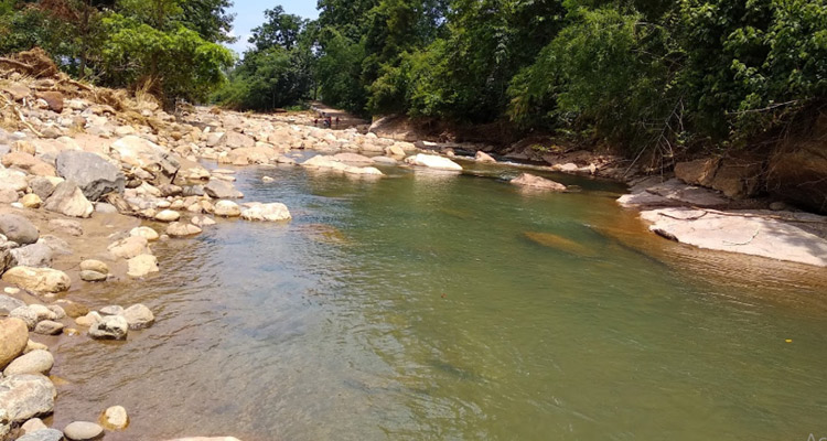 Kalikesam Waterfall Kanyakumari (Timings, Entry Fee, Images, Best time ...