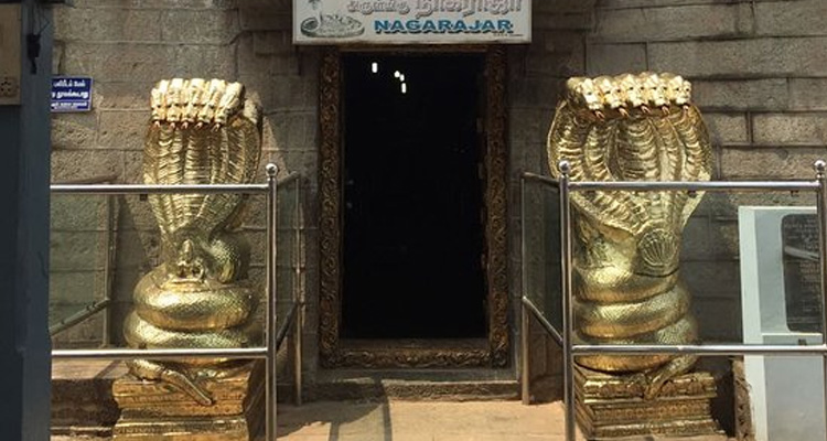 Nagaraja Temple Kanyakumari (Timings, History, Entry Fee, Images, Pooja ...
