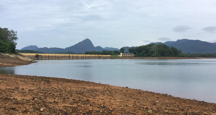 Pechiparai Dam Kanyakumari (Entry Fee, Timings, History, Built by ...
