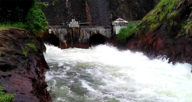 Pechiparai Dam Kanyakumari (Entry Fee, Timings, History, Built by ...