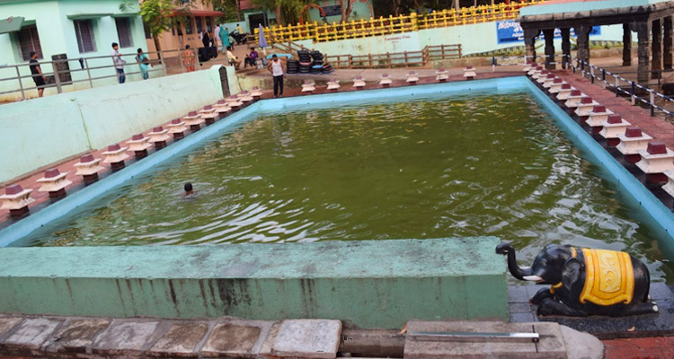 Thiruparrapu Falls / Tirparappu Water Falls Kanyakumari (Timings, Entry ...
